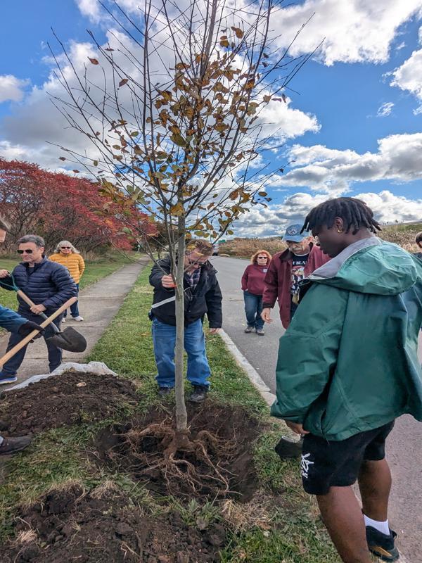 October 26 Tree Planting Workshop 2-600x800.jpg | Buffalo Green Fund